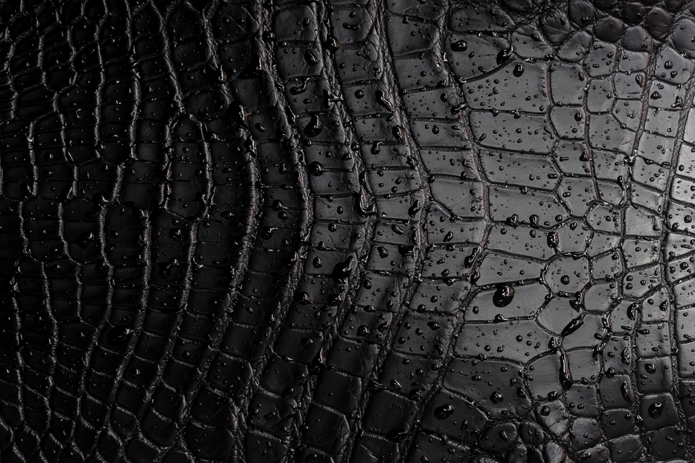 Mastering the Art of Leather Pattern Making: Techniques, Uses & Tools ...